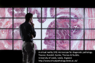 VIZBI - Visualizing Biological Data