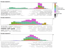 VIZBI - Visualizing Biological Data