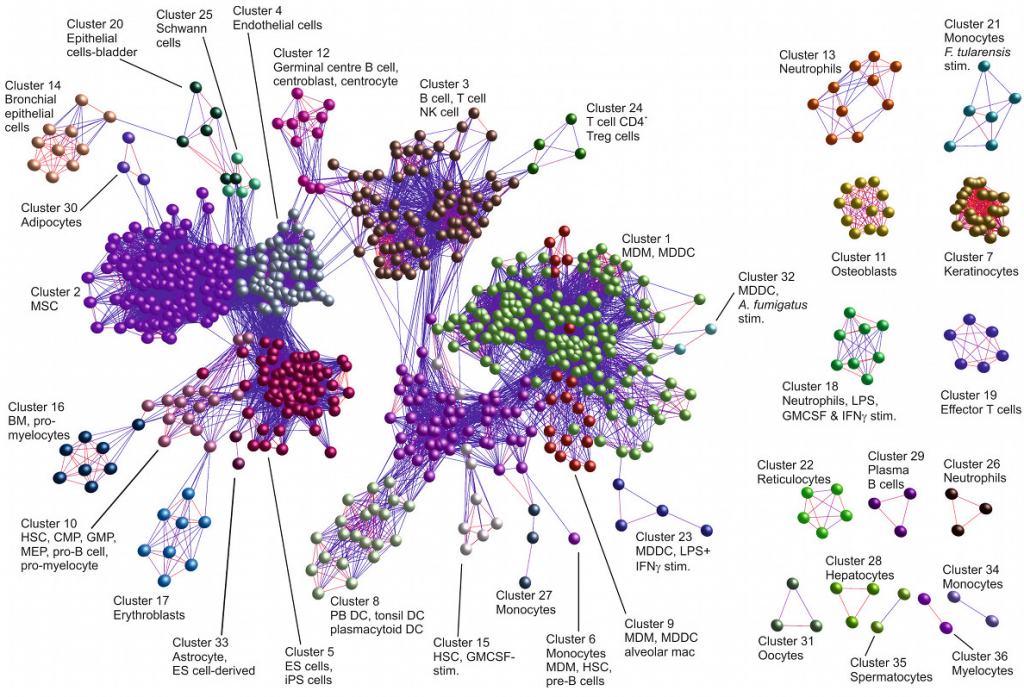 VIZBI 2014 tutorial – Network visualisation and analysis of high dimensional data using ...