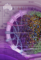 VIZBI - Visualizing Biological Data